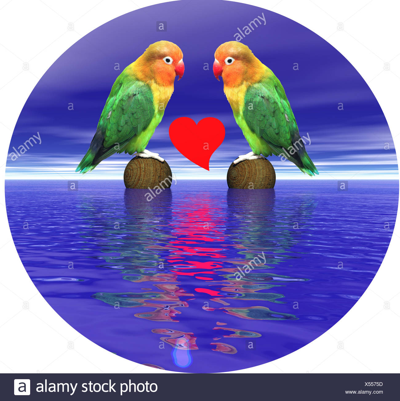 Love Bird Agapornis Blue High Resolution Stock Photography and Images ...