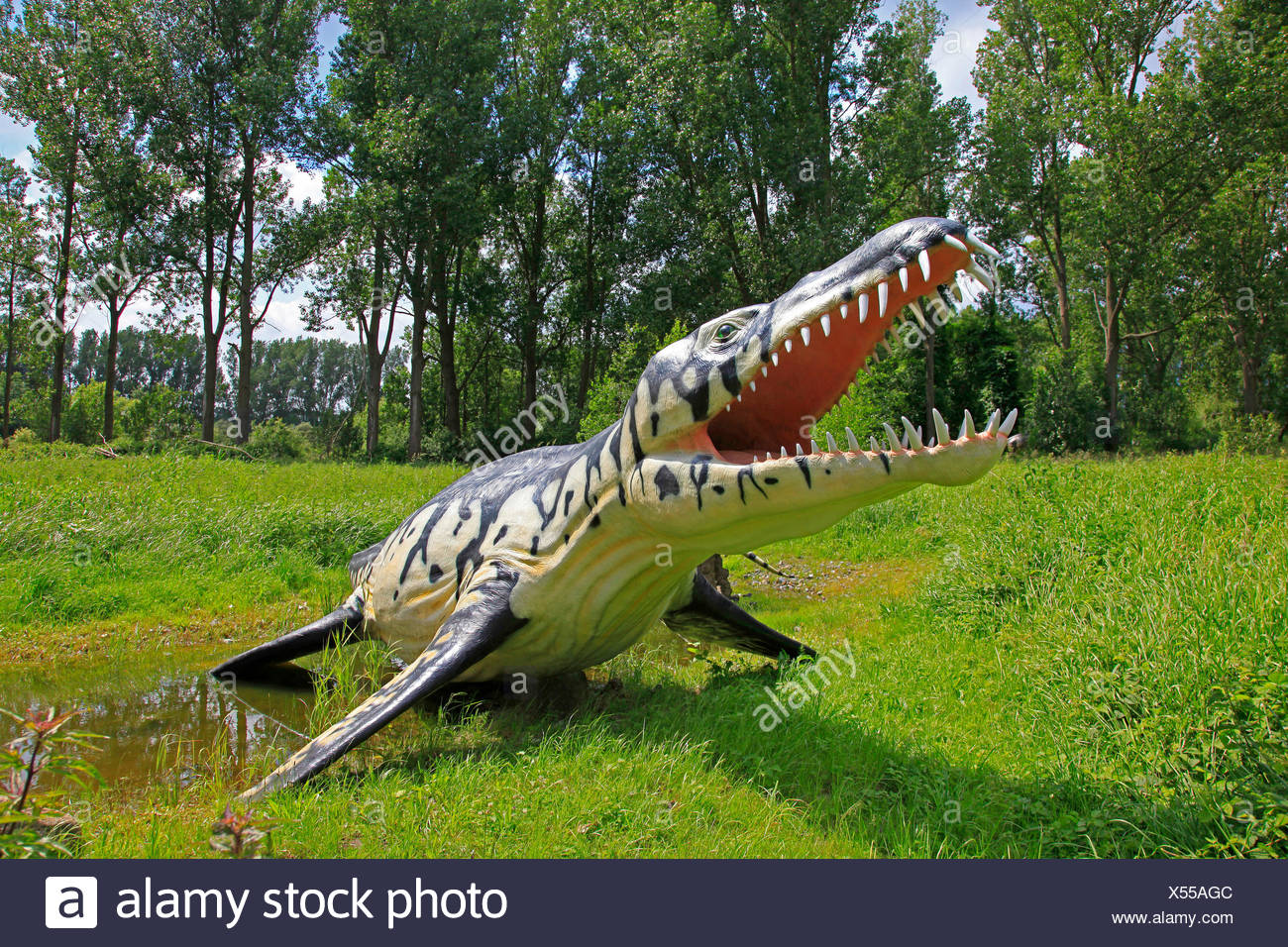Liopleurodon High Resolution Stock Photography and Images - Alamy