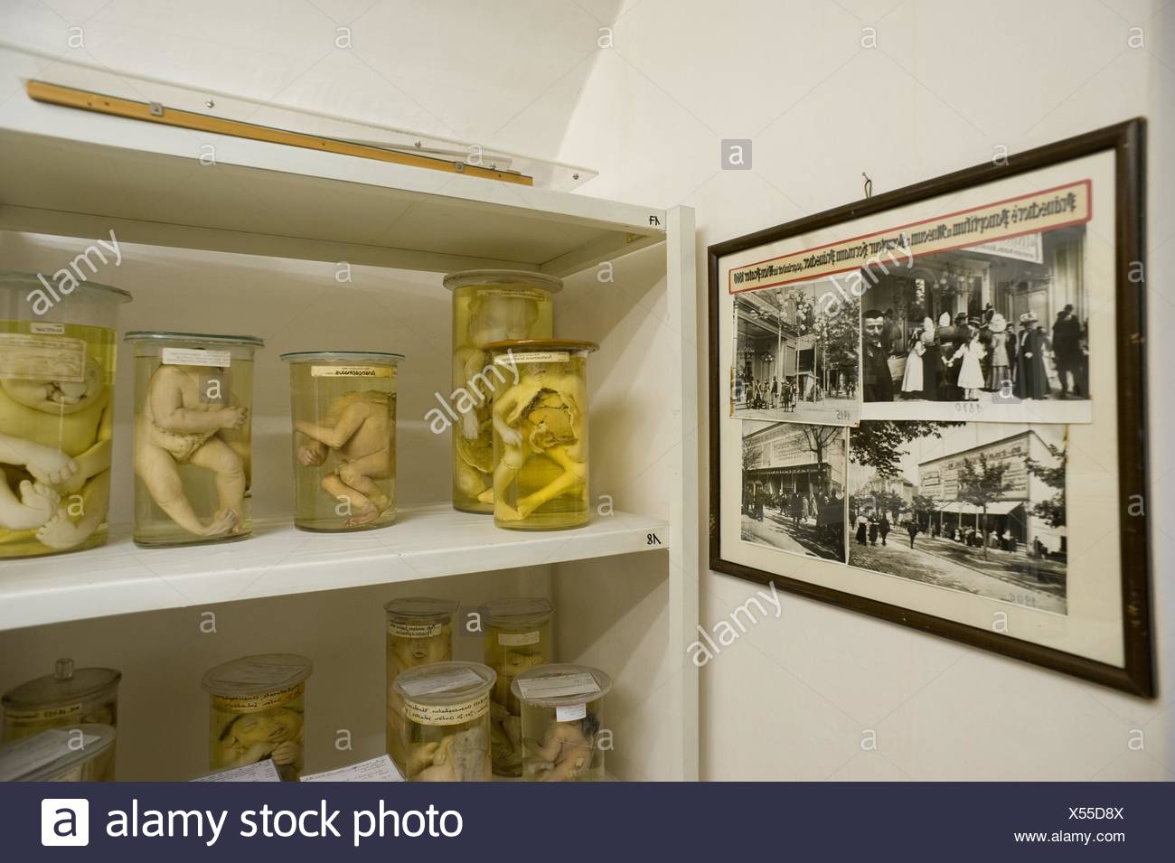 Narrenturm Vienna Stock Photos & Narrenturm Vienna Stock Images - Alamy