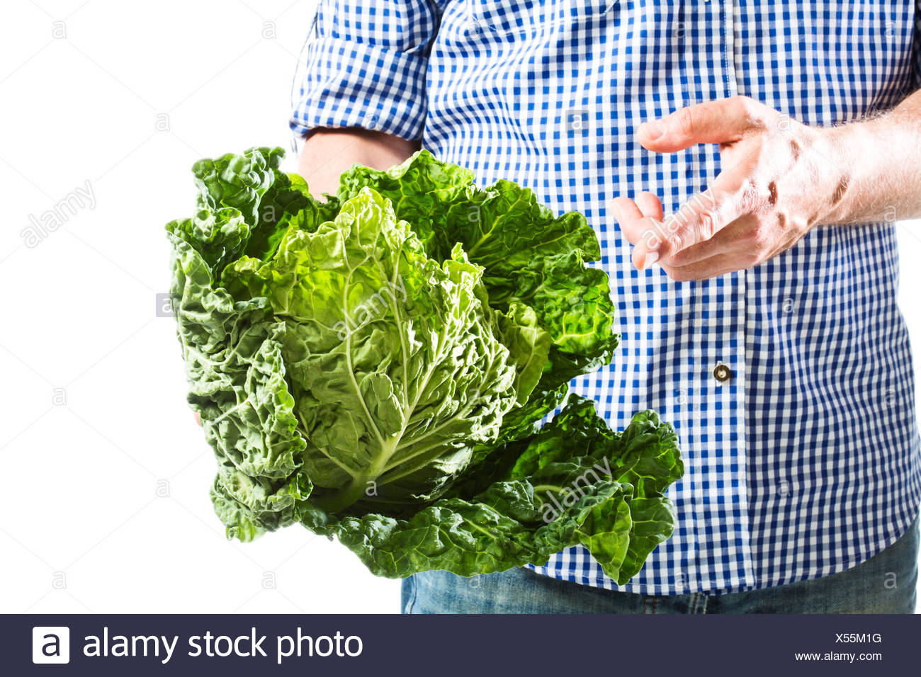 Man Holding Cabbage High Resolution Stock Photography and Images - Alamy