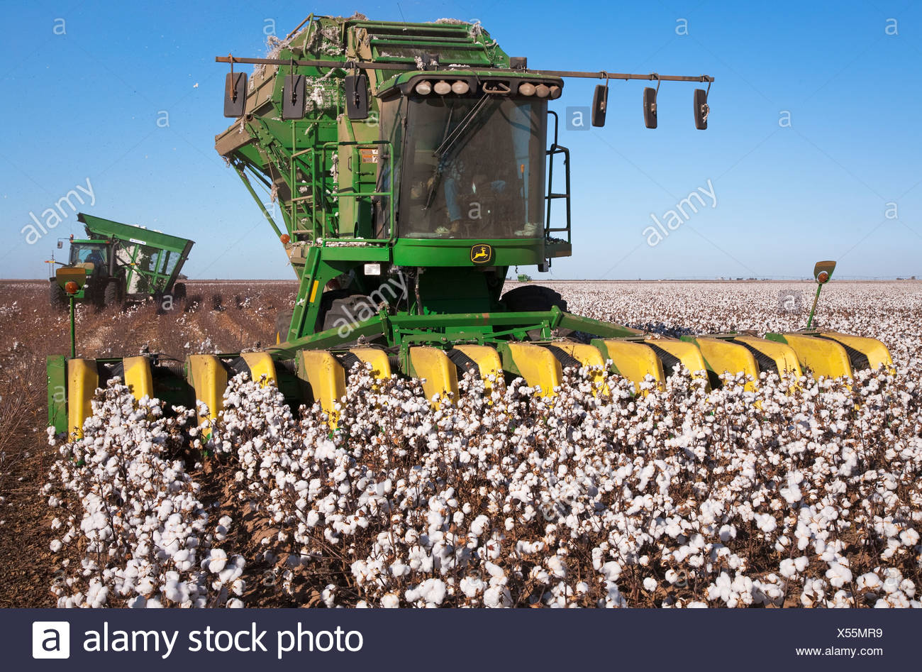Deere Cotton Stock Photos & Deere Cotton Stock Images - Alamy
