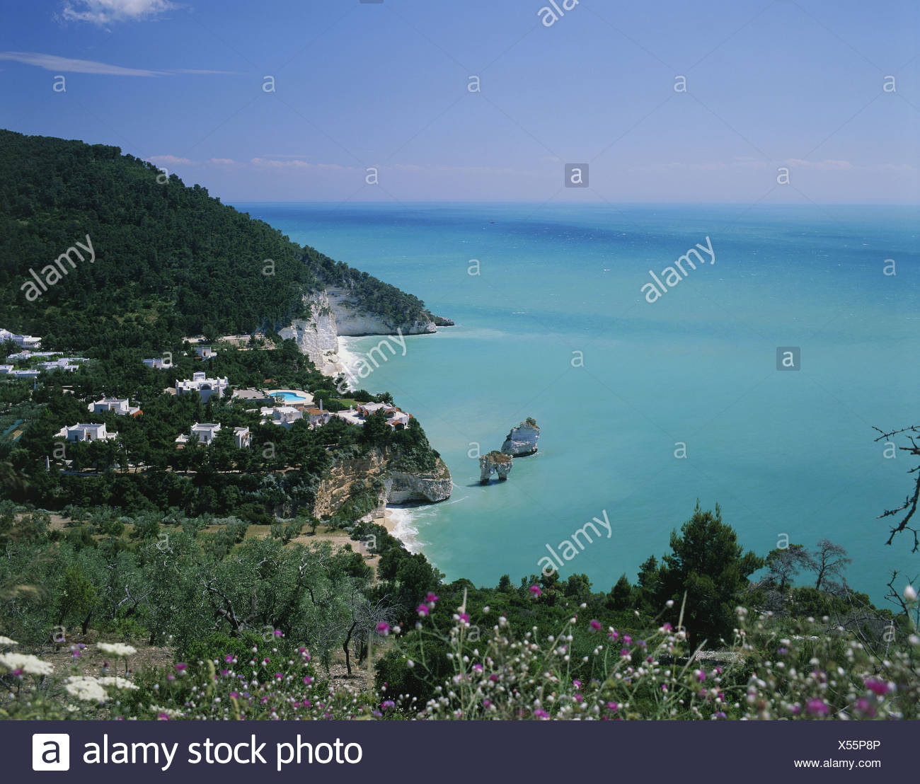 Gargano High Resolution Stock Photography and Images - Alamy