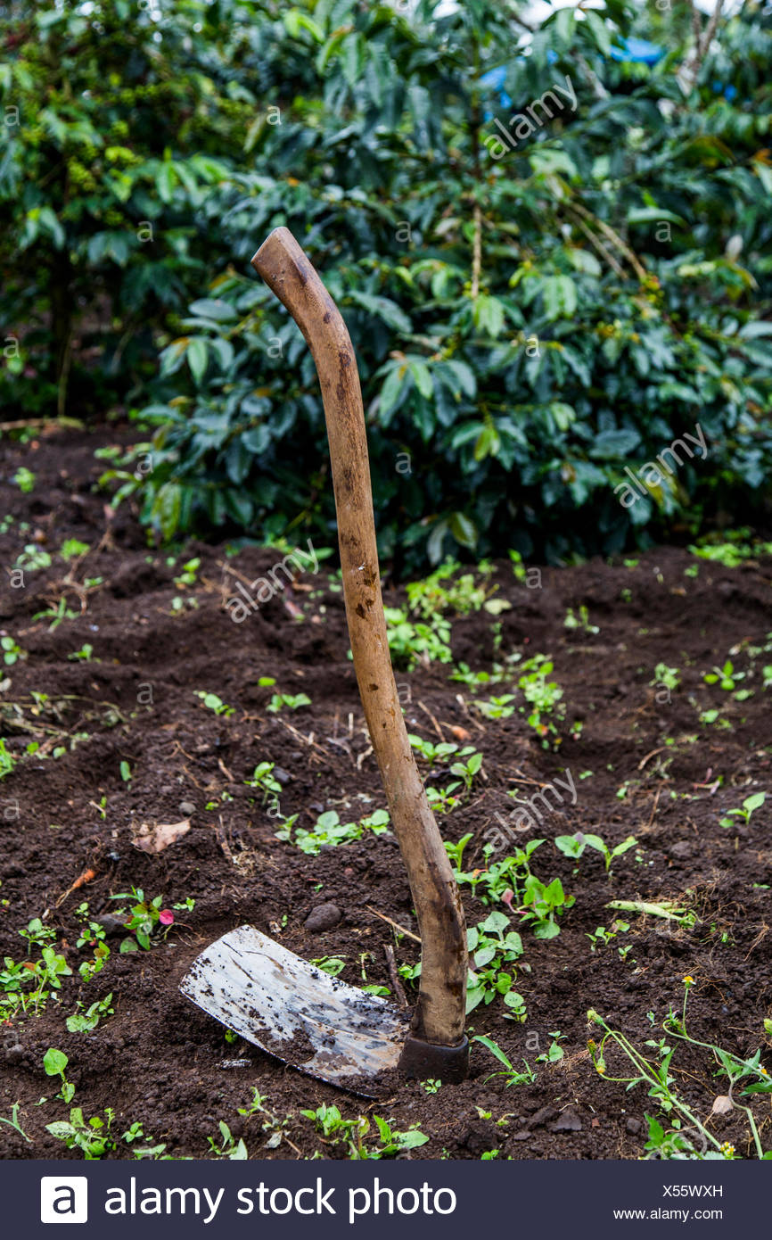 Hoe Farming High Resolution Stock Photography and Images - Alamy