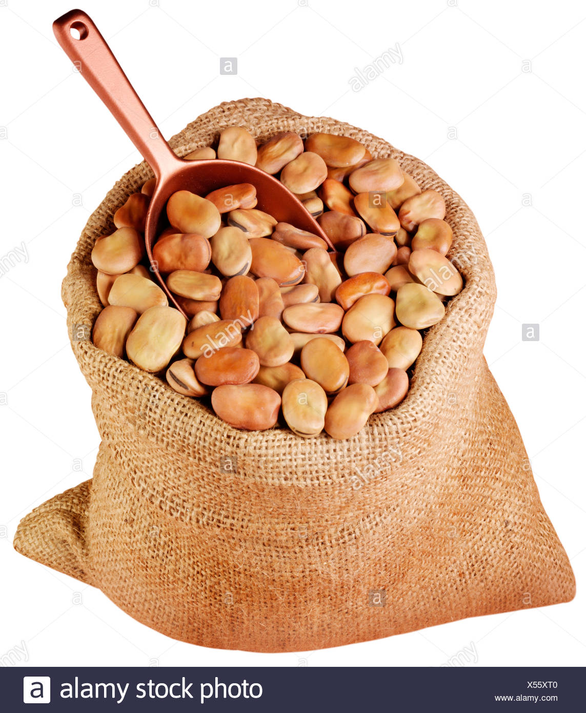 Haba Bean High Resolution Stock Photography and Images - Alamy