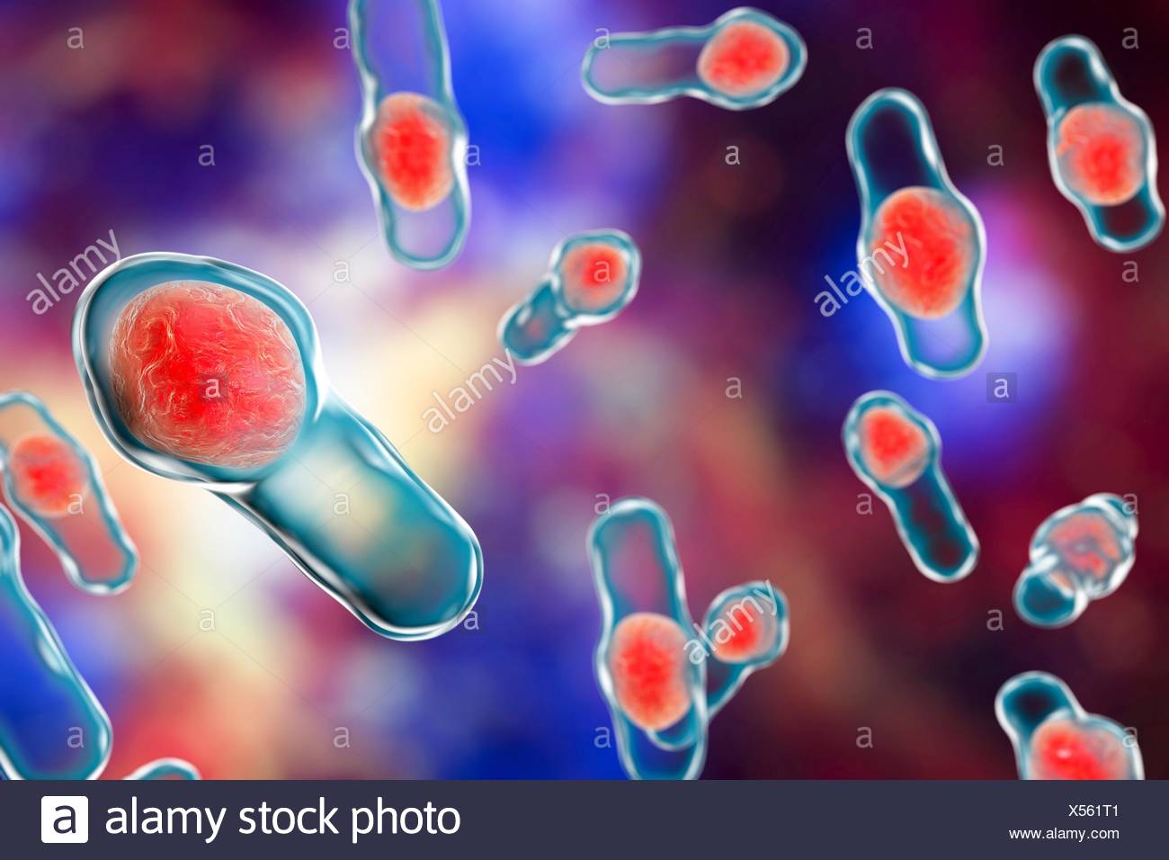 Hospital Associated Infection High Resolution Stock Photography and ...