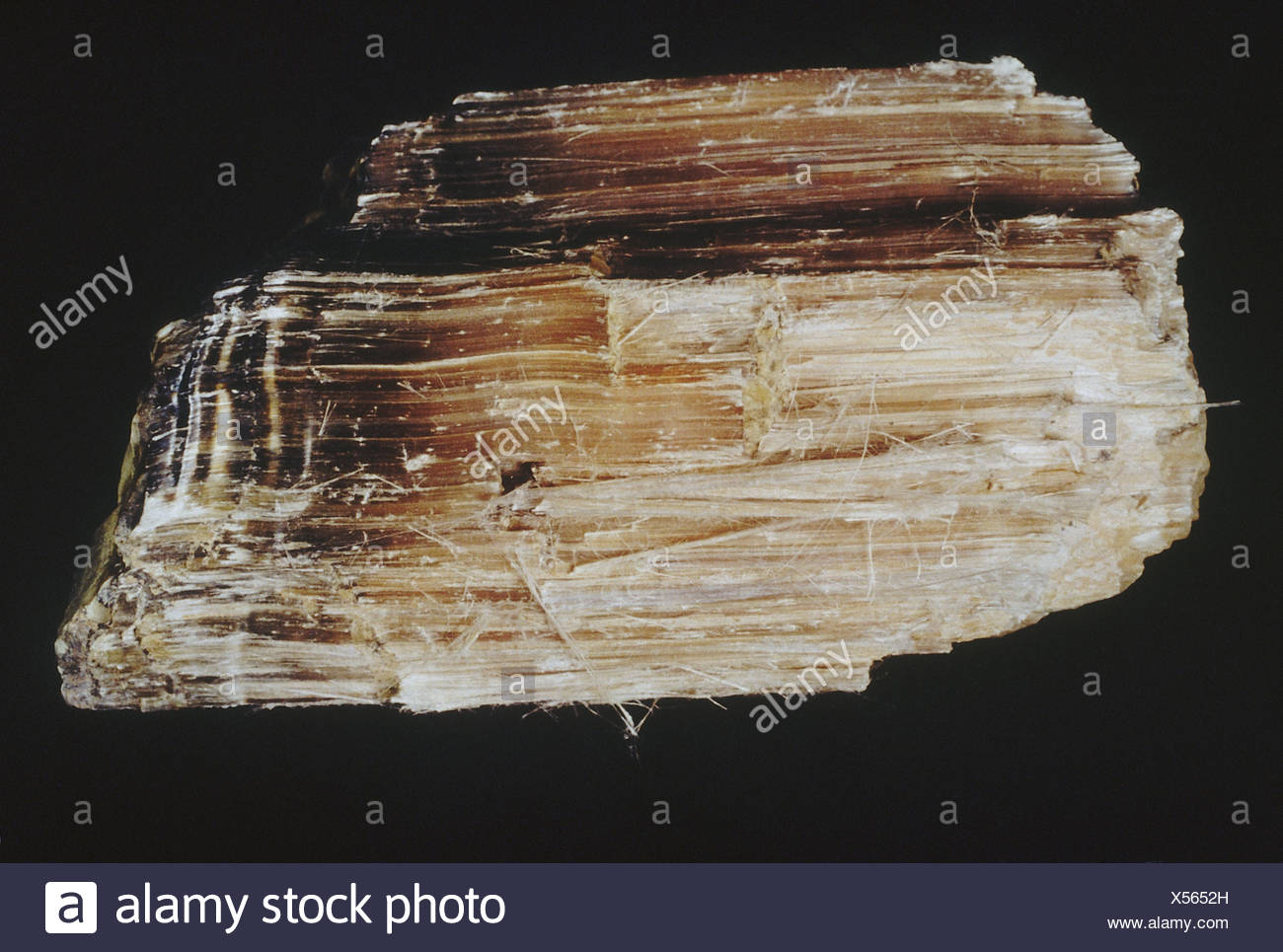 Asbestos Fibres High Resolution Stock Photography and Images - Alamy