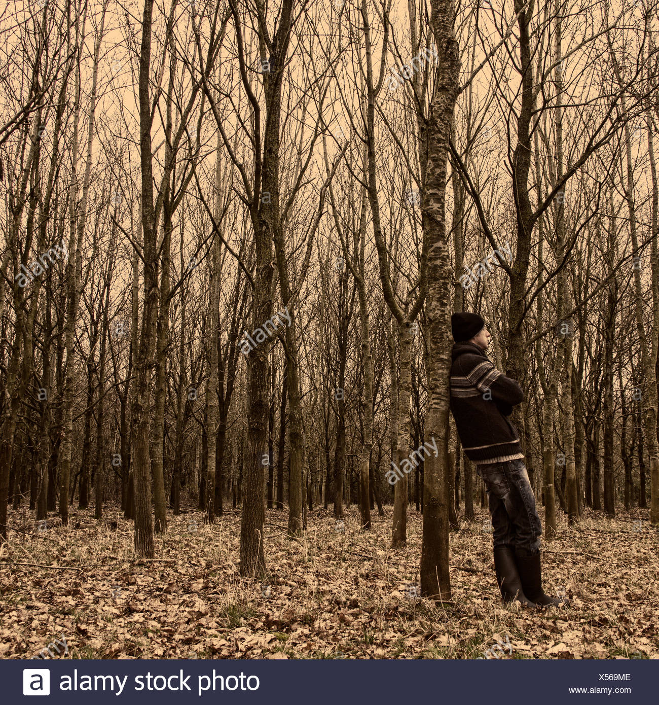 Leaning Against A Tree High Resolution Stock Photography and Images - Alamy