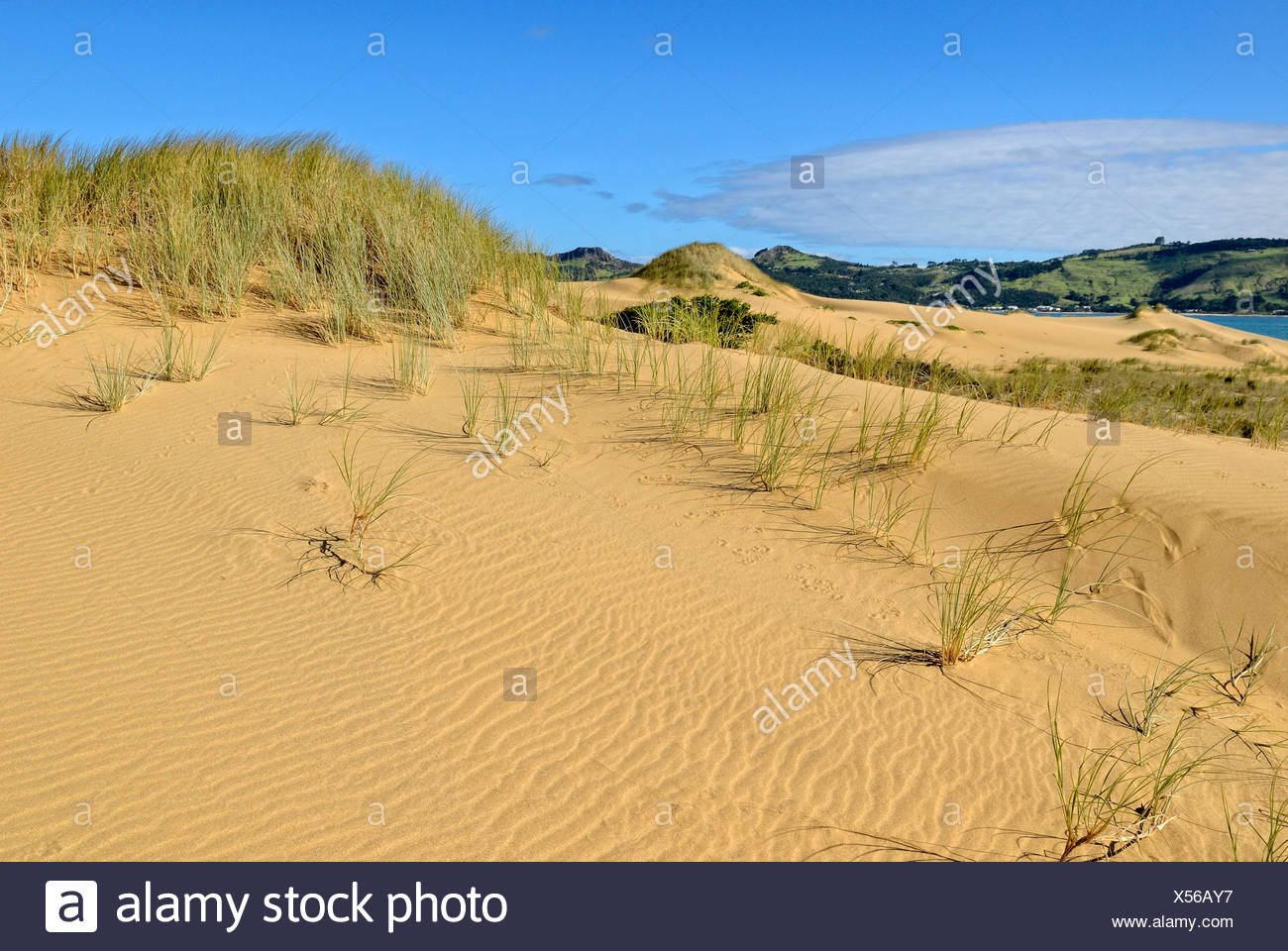 Opononi Stock Photos & Opononi Stock Images - Alamy