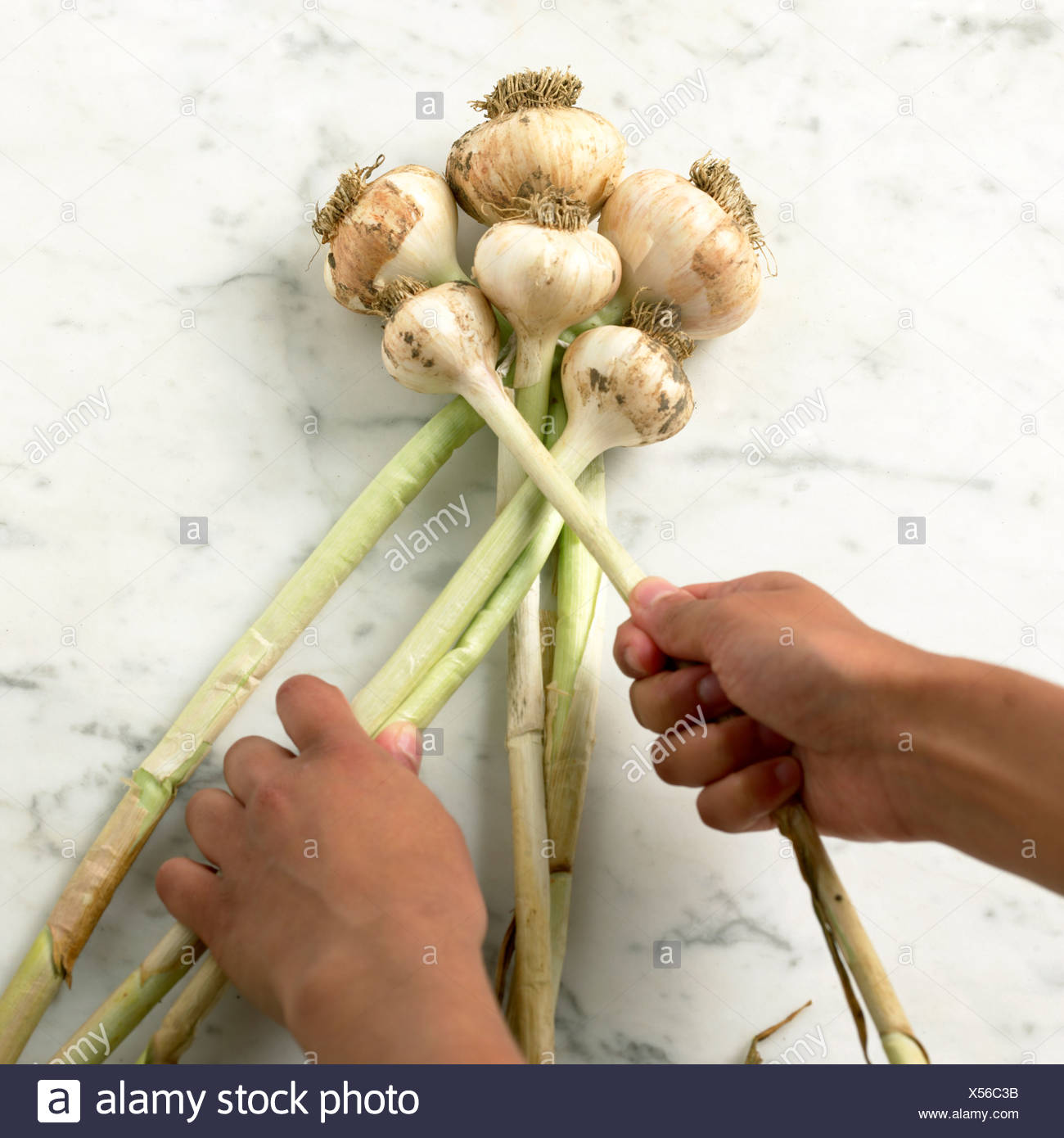 Garlic Person High Resolution Stock Photography and Images - Alamy