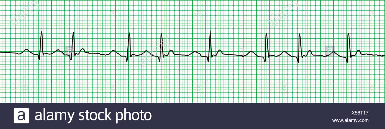 Sves High Resolution Stock Photography and Images - Alamy