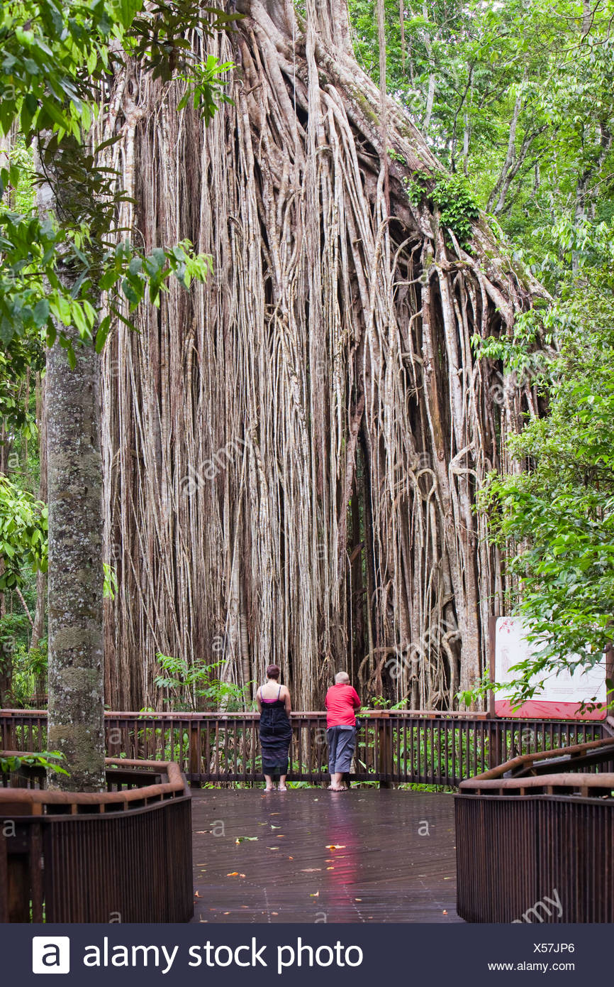 Person Dwarfed High Resolution Stock Photography and Images - Alamy