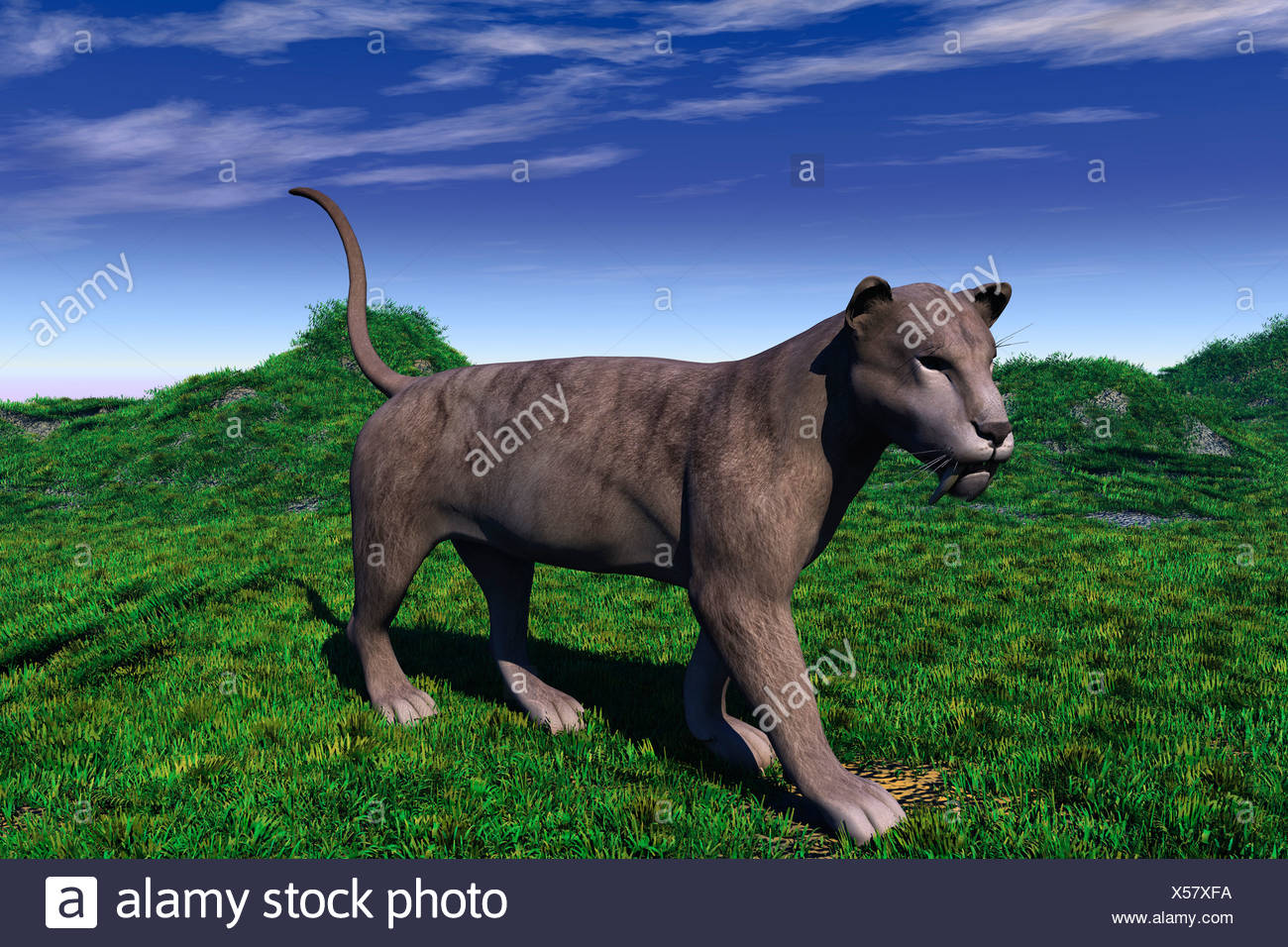 Sabertooth High Resolution Stock Photography and Images - Alamy