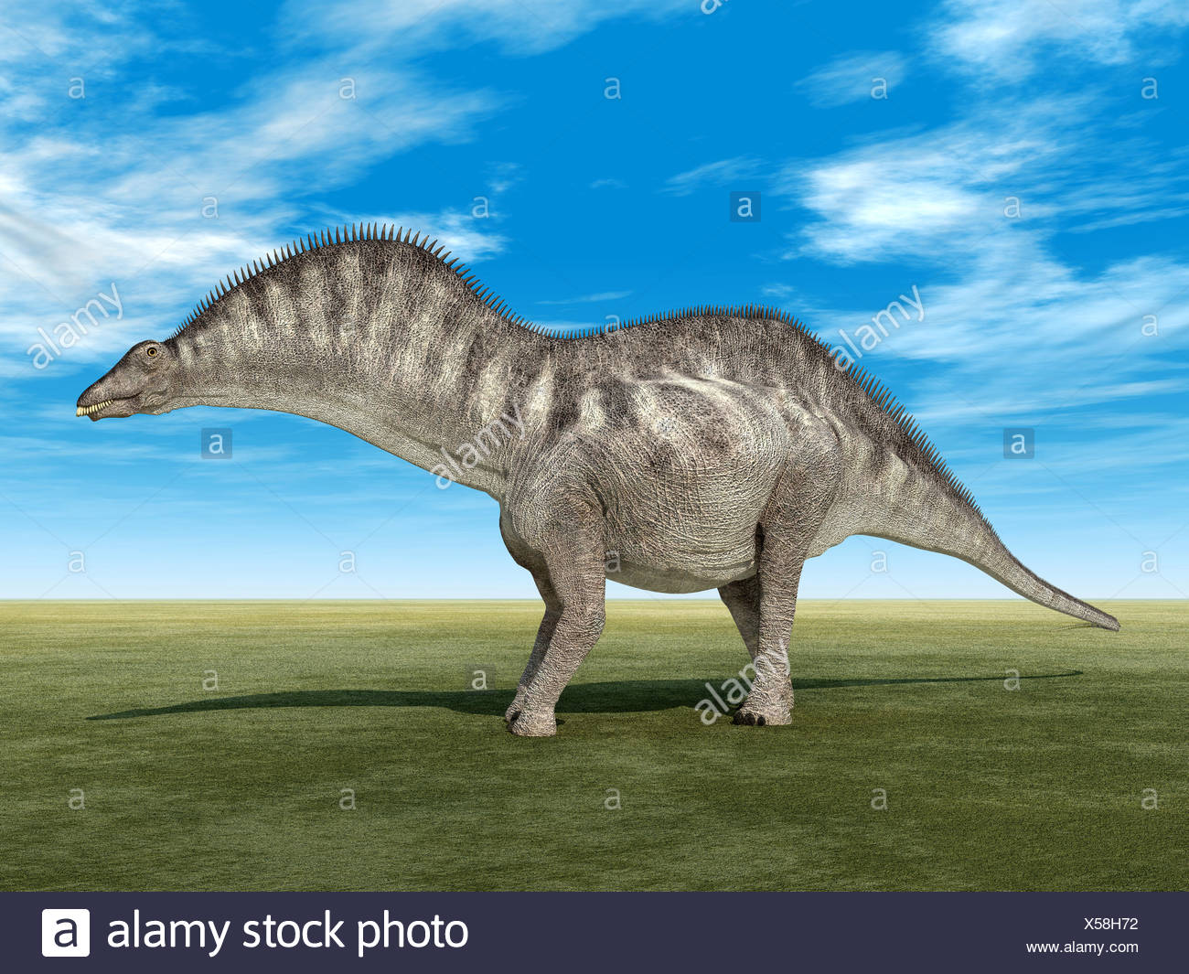 Amargasaurus Stock Photos & Amargasaurus Stock Images - Alamy