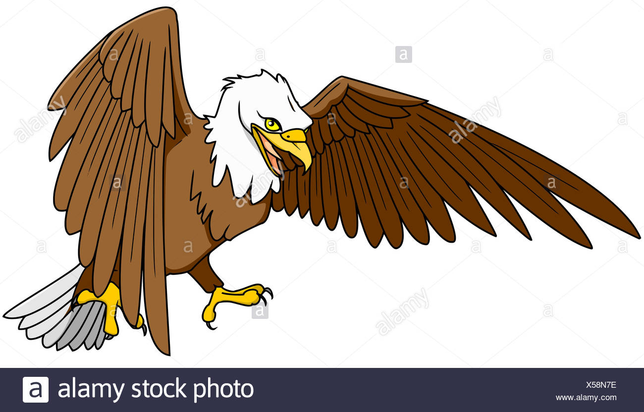 Bald Eagle Cut Out Stock Images & Pictures - Alamy