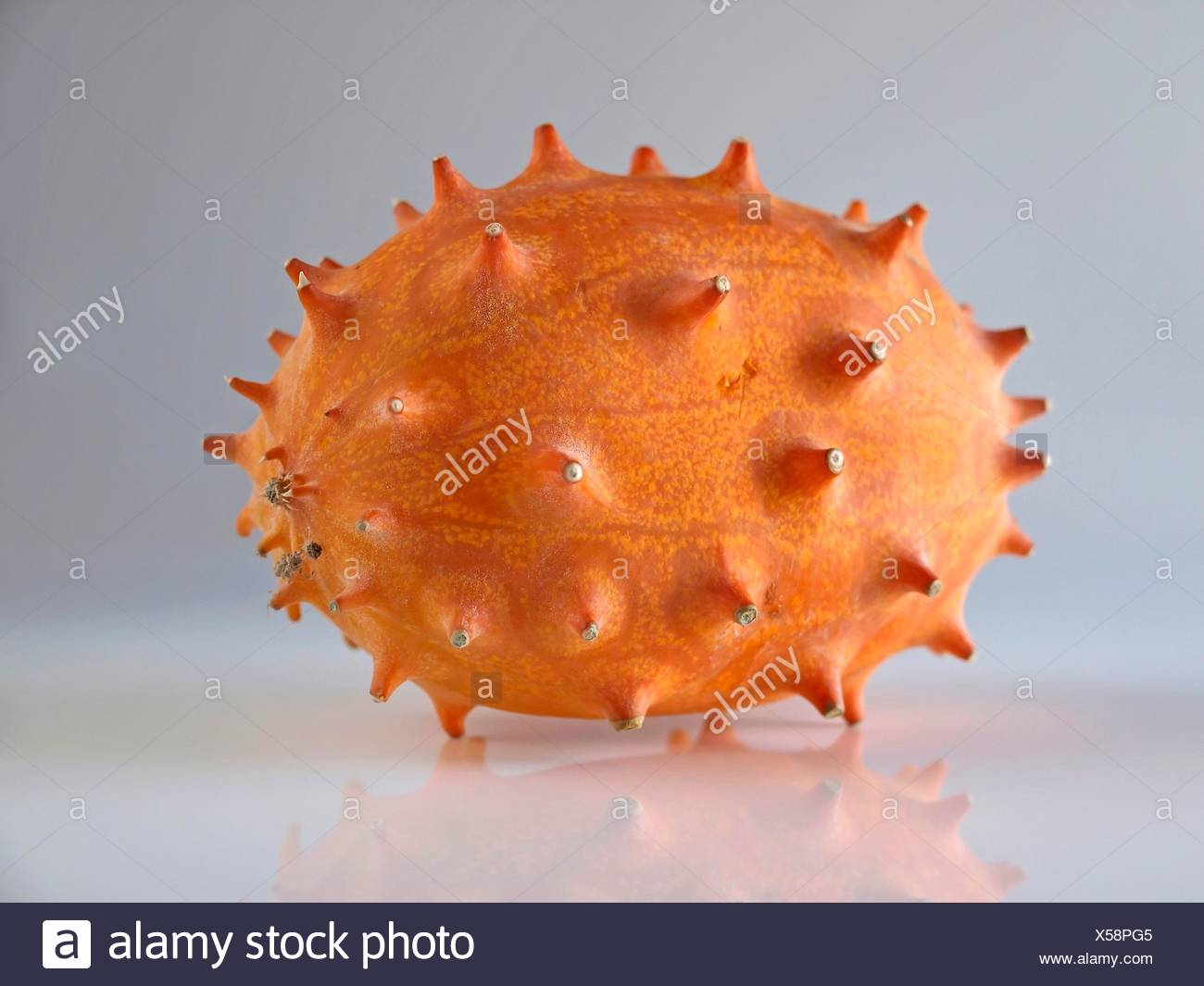 Cucumis Metuliferus High Resolution Stock Photography and Images - Alamy