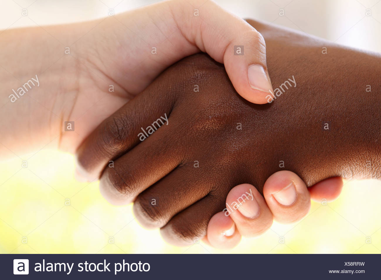 Hand Shake Adult High Resolution Stock Photography and Images - Alamy