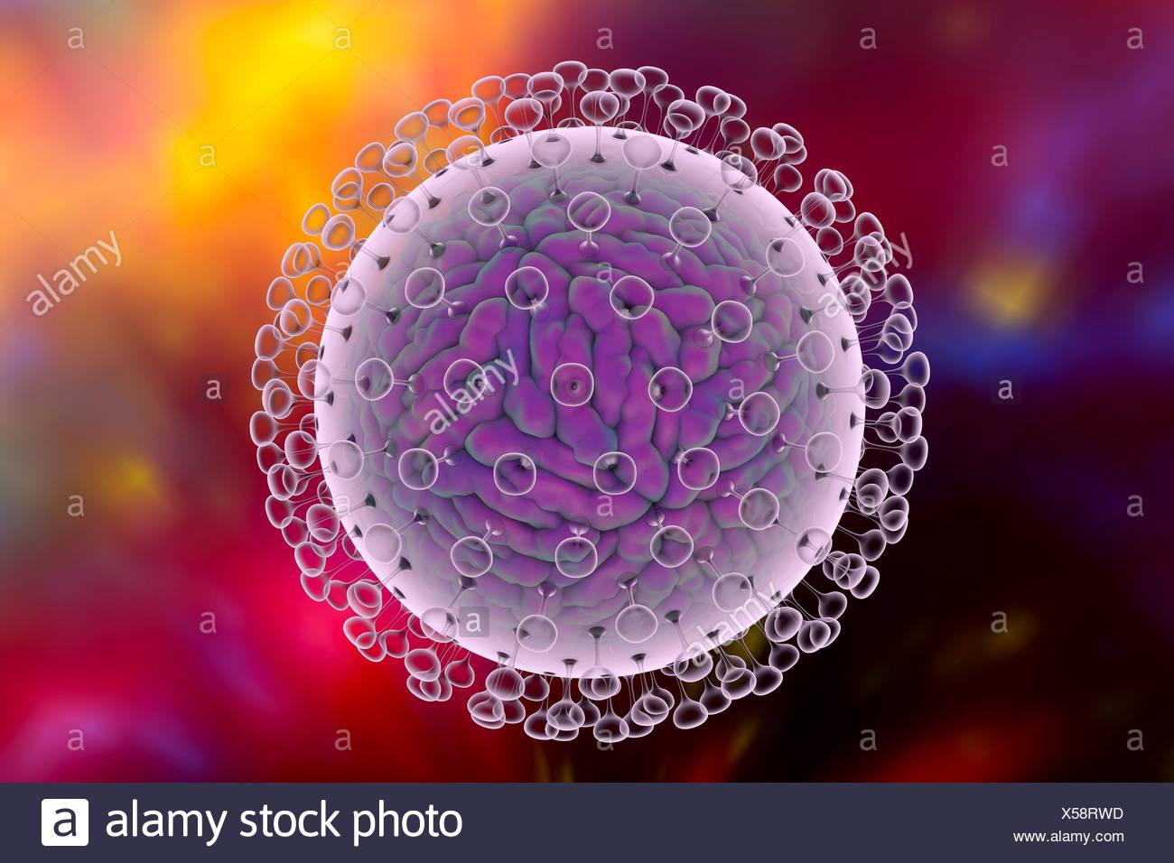 Viral Envelope High Resolution Stock Photography and Images - Alamy