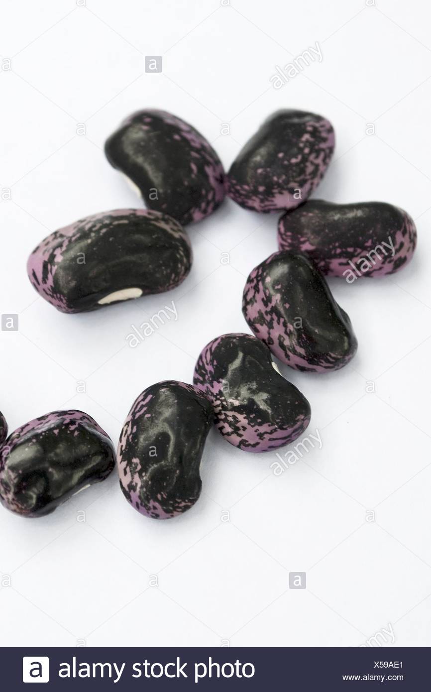 Purple Runner Beans Stock Photos & Purple Runner Beans Stock Images - Alamy