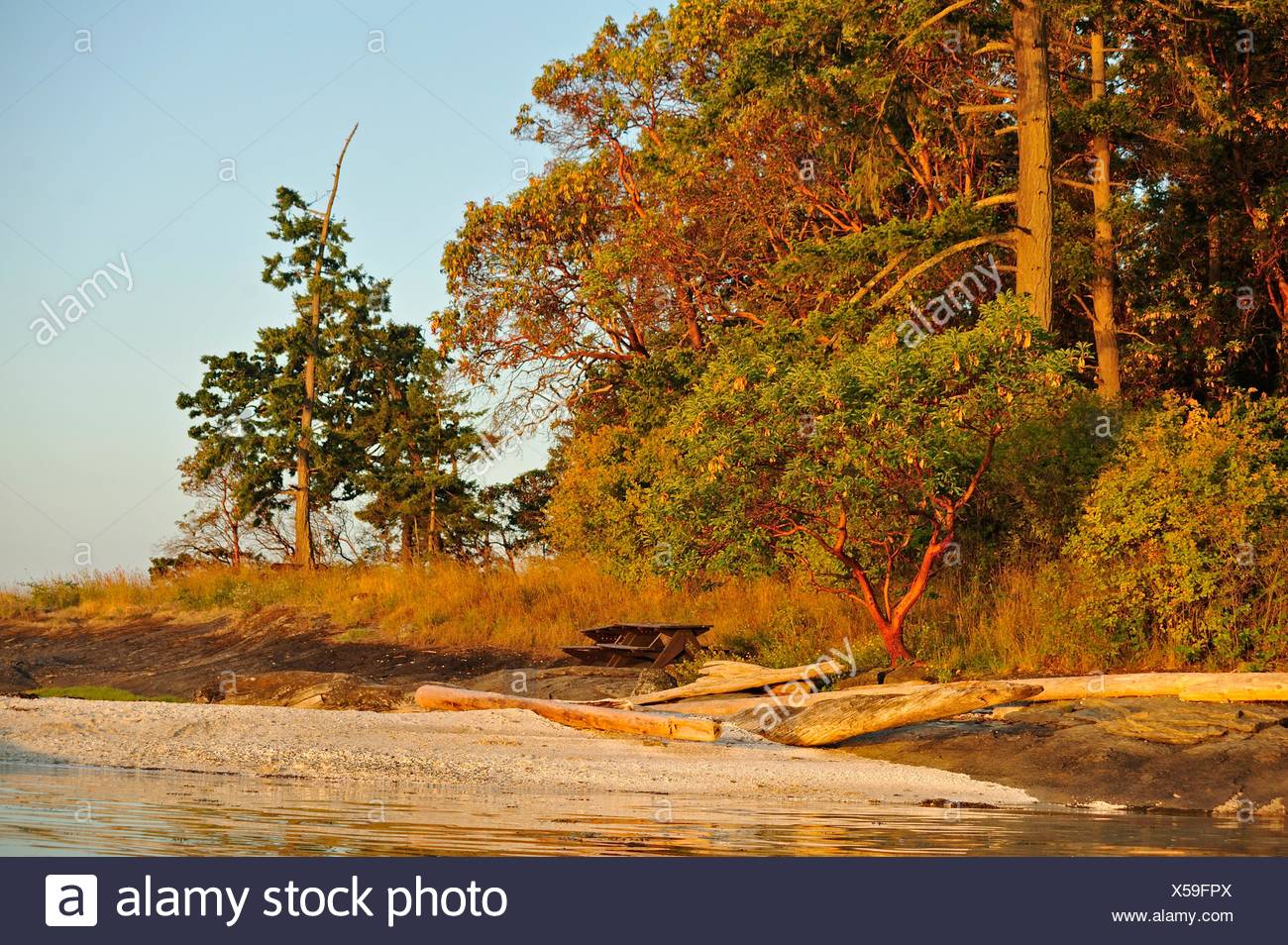 Shell Midden High Resolution Stock Photography and Images - Alamy
