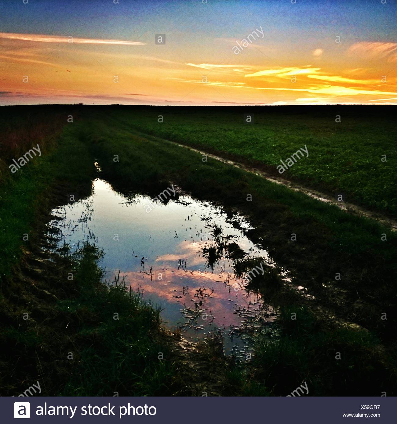 Reflection In Puddle Stock Photos & Reflection In Puddle Stock Images ...