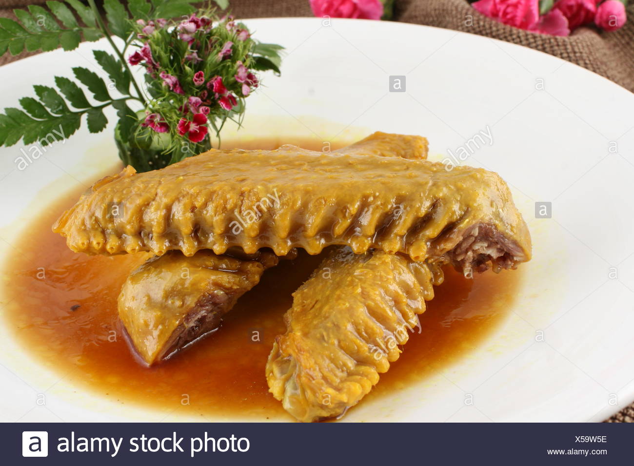Goose Feet Stock Photos & Goose Feet Stock Images - Alamy