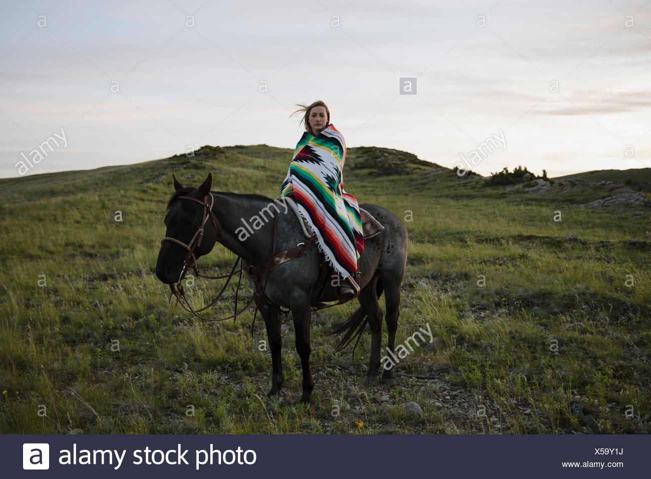 Native American Horse Stock Photos & Native American Horse Stock Images ...