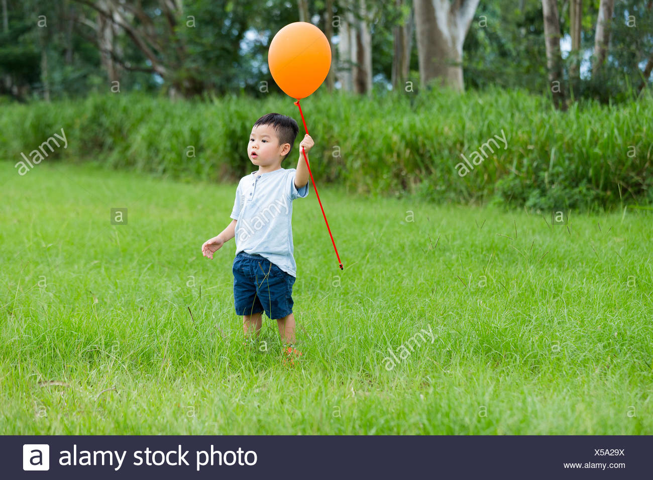 Plastic Cub High Resolution Stock Photography and Images - Alamy