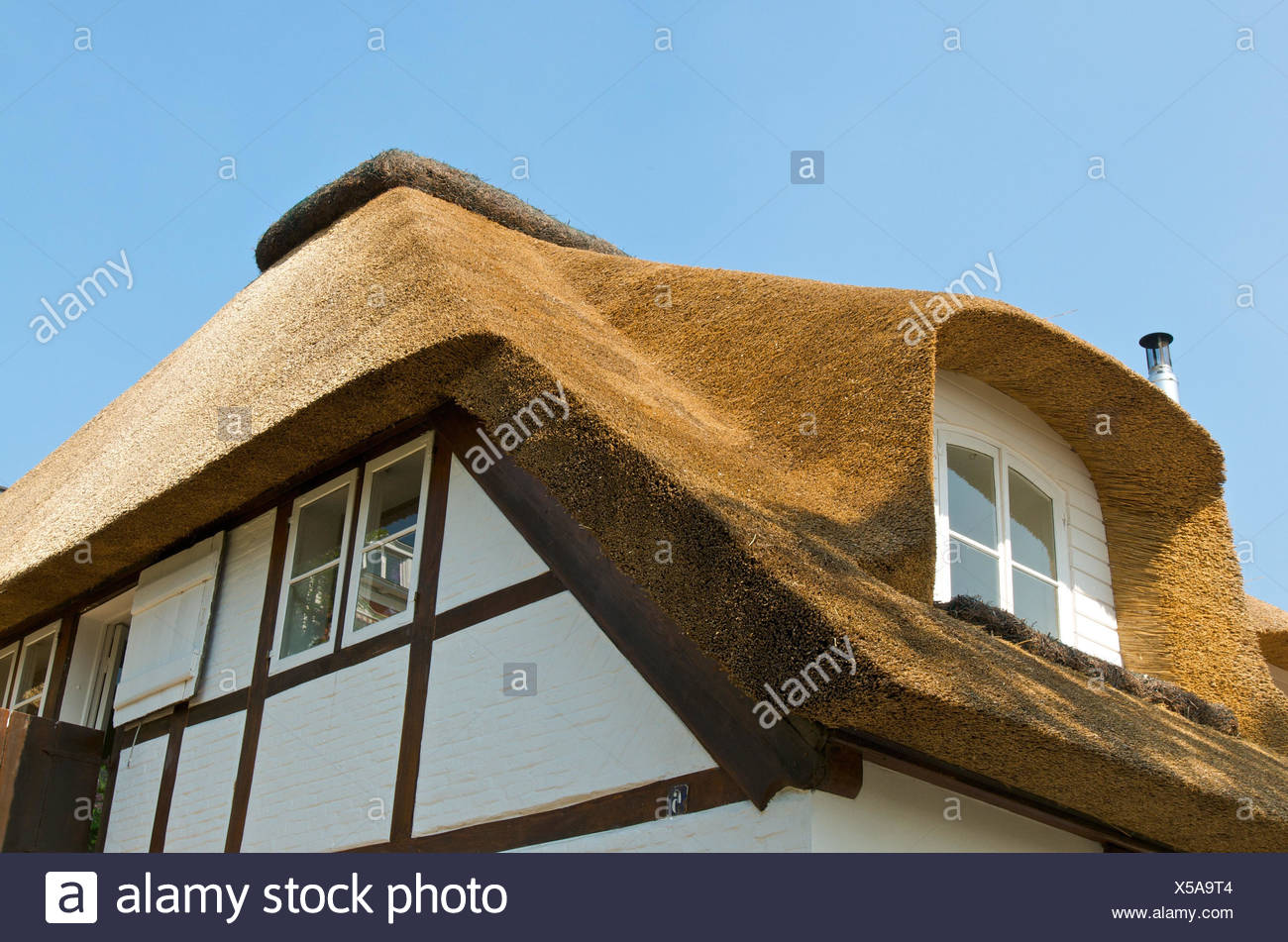 House Half Timbered Thatched Roof Stock Photos & House Half Timbered ...