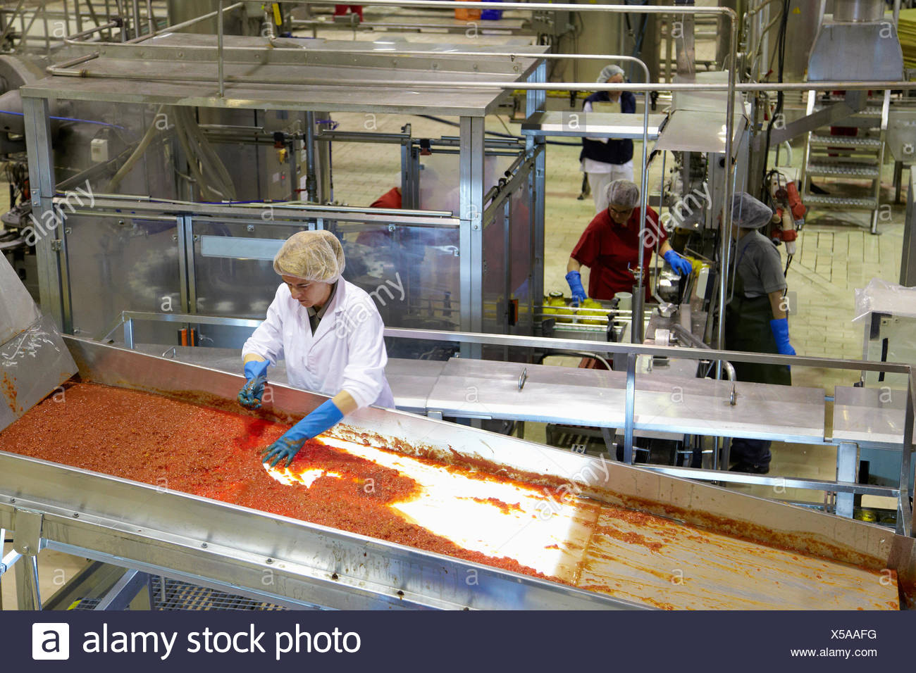 Food Production Line Vegetables High Resolution Stock Photography and ...
