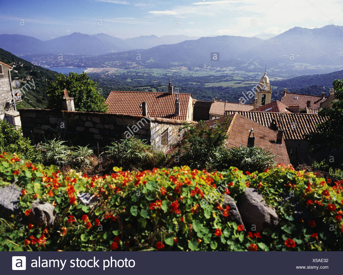 Olmeto Stock Photos & Olmeto Stock Images - Alamy