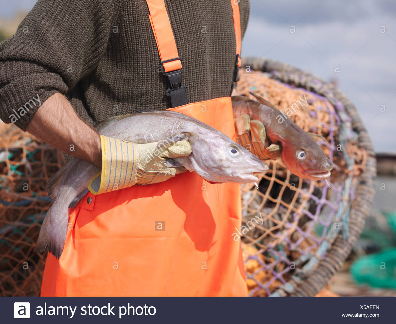 Man Catching Fish High Resolution Stock Photography and Images - Alamy