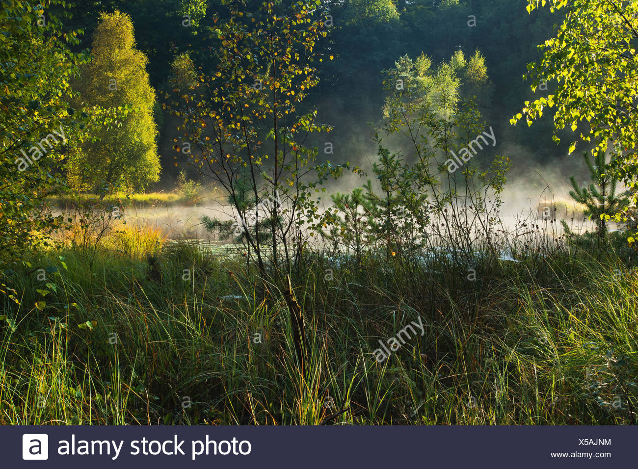 Moorlandschaft High Resolution Stock Photography and Images - Alamy