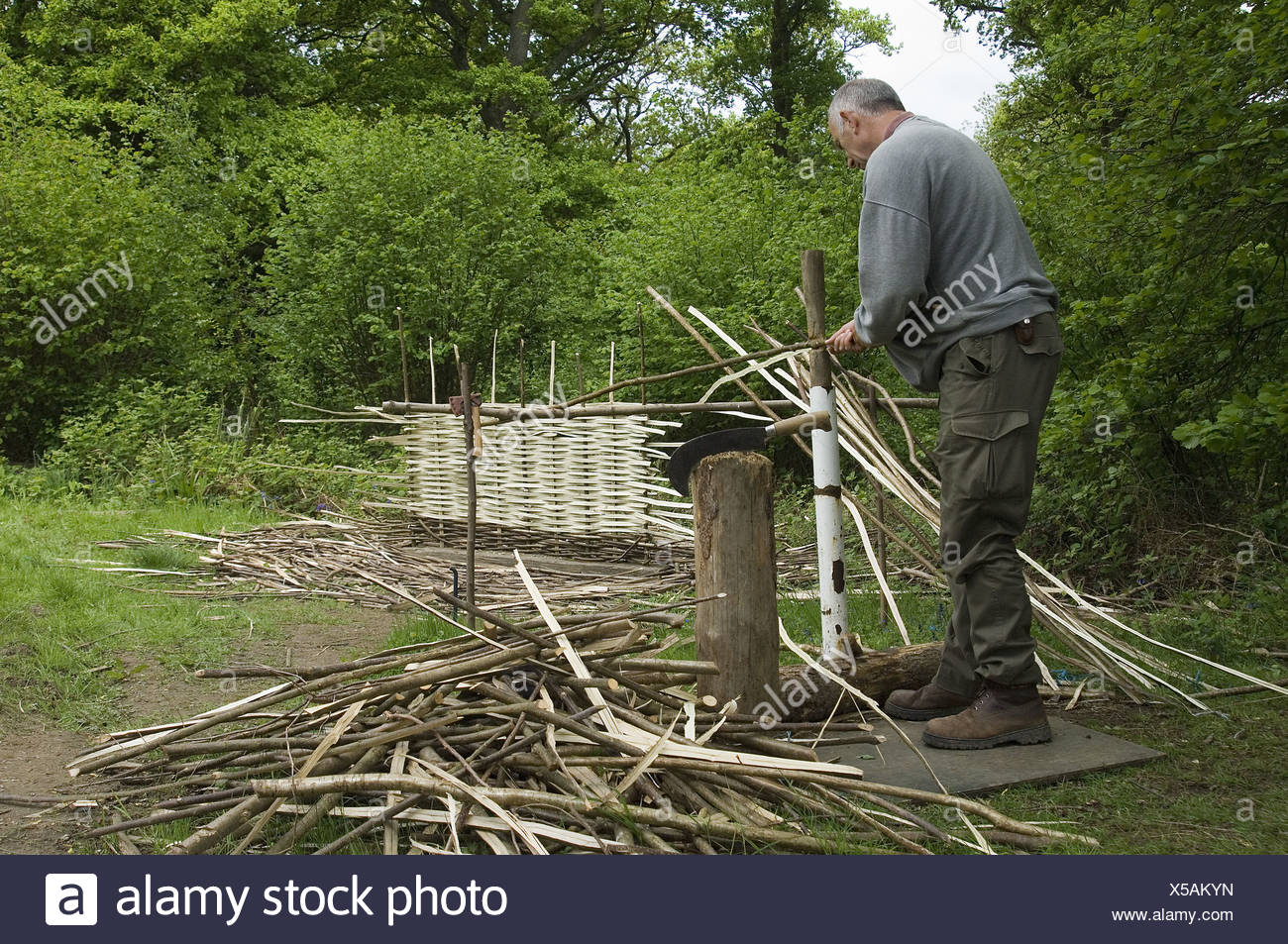 Hazel Hurdle Stock Photos & Hazel Hurdle Stock Images - Alamy