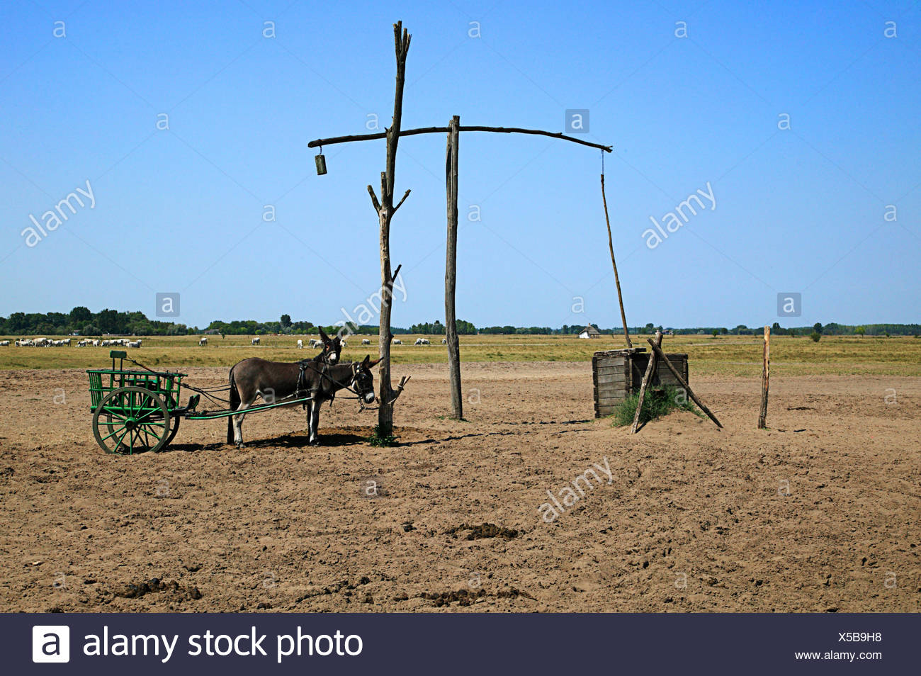 Pusta High Resolution Stock Photography and Images - Alamy