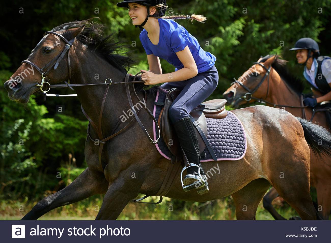 Learning About Animals High Resolution Stock Photography and Images - Alamy