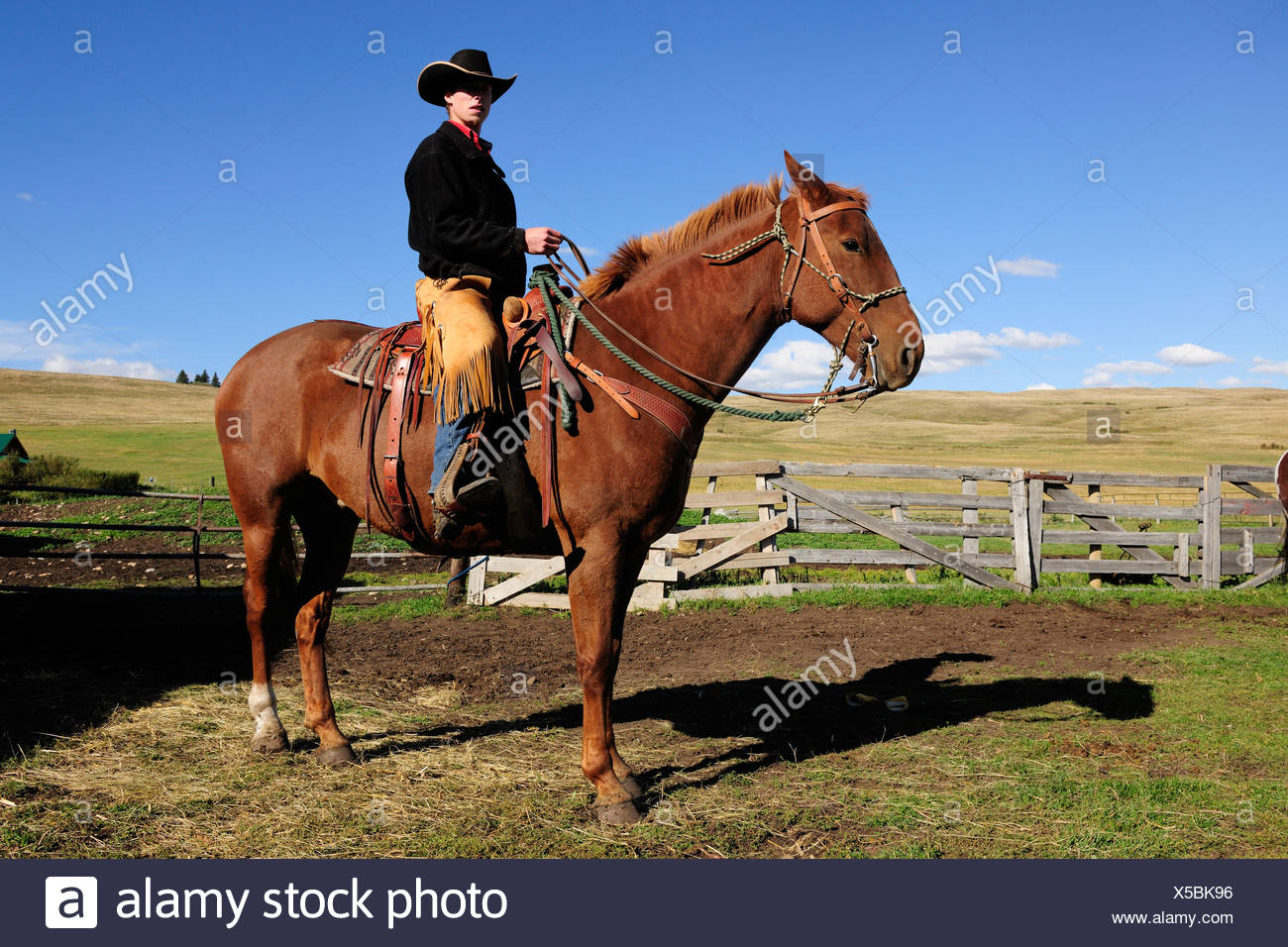 Riding Corral High Resolution Stock Photography and Images - Alamy