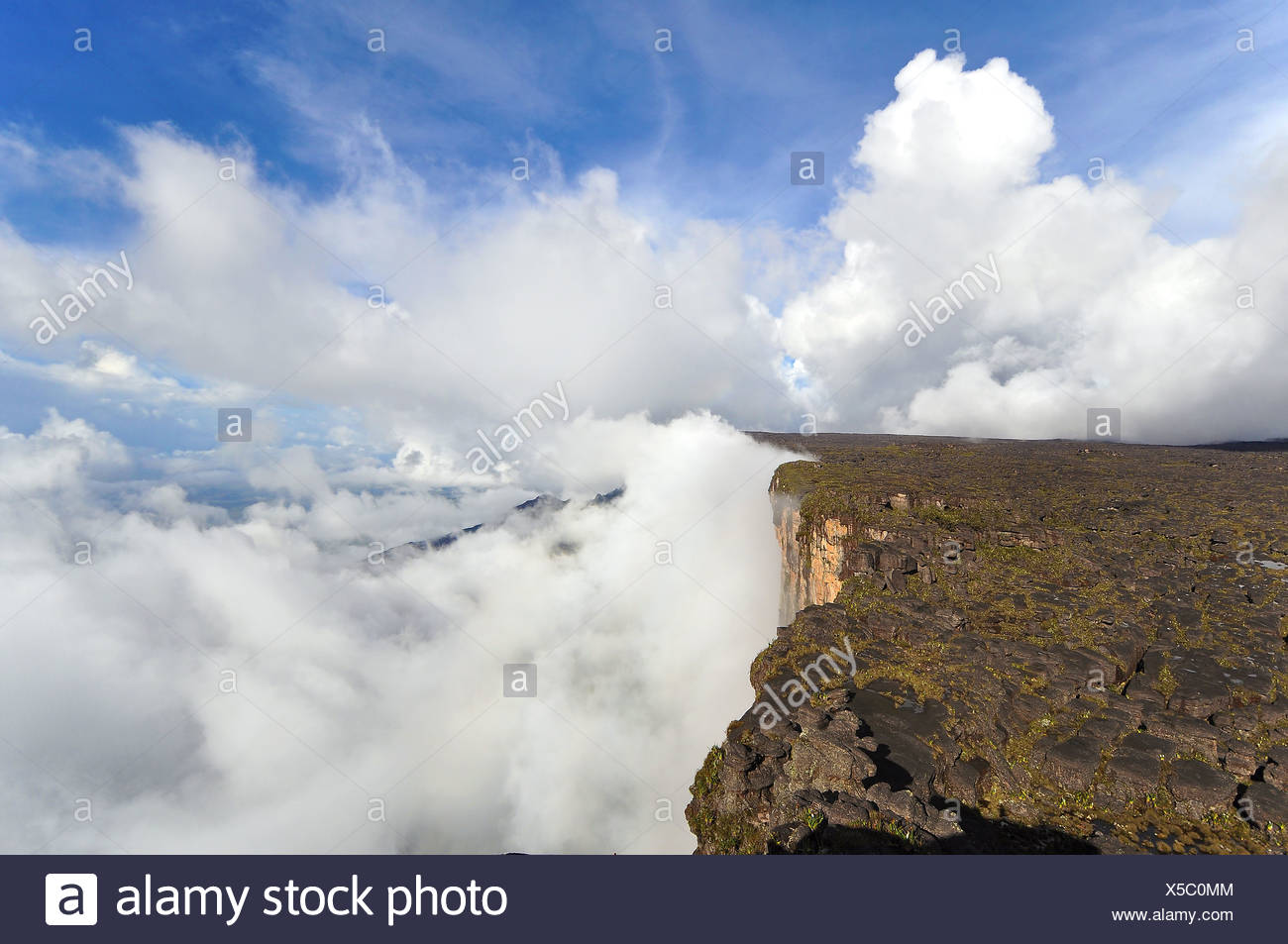 Roraima Mountain High Resolution Stock Photography and Images - Alamy