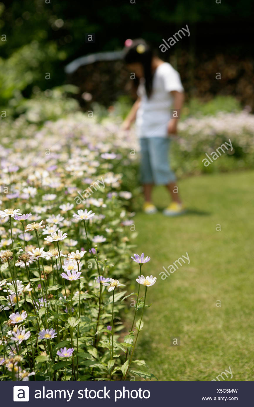Plucking Flowers Stock Photos & Plucking Flowers Stock Images - Alamy