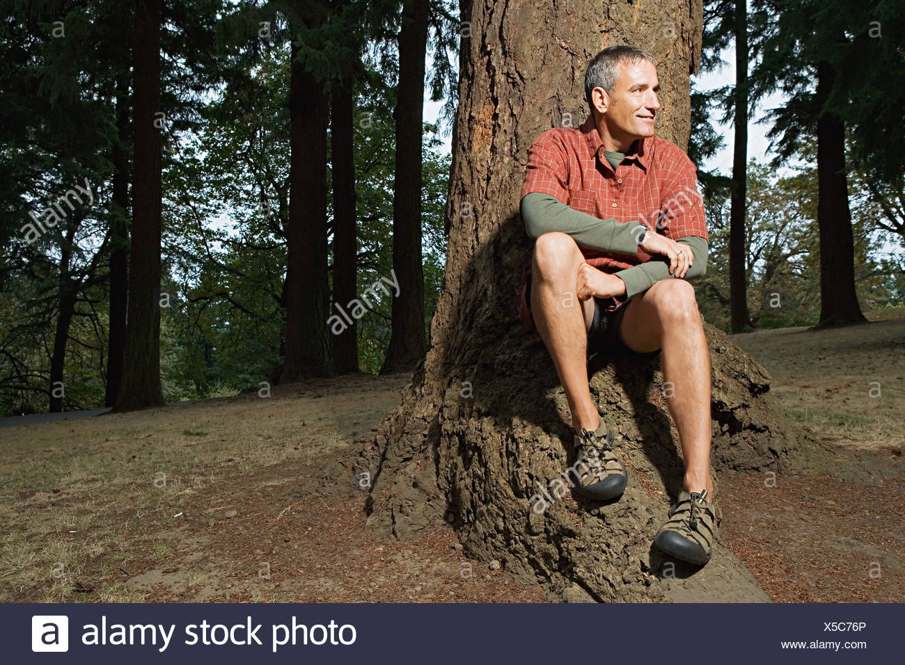 Male Sitting At A Tree Stock Photos & Male Sitting At A Tree Stock ...