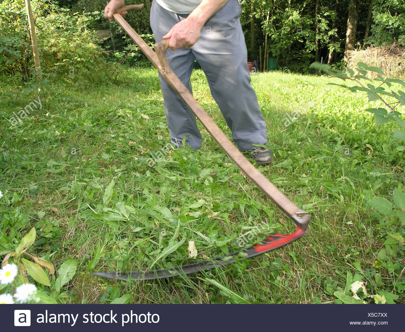 Scythe Scythes High Resolution Stock Photography and Images - Alamy