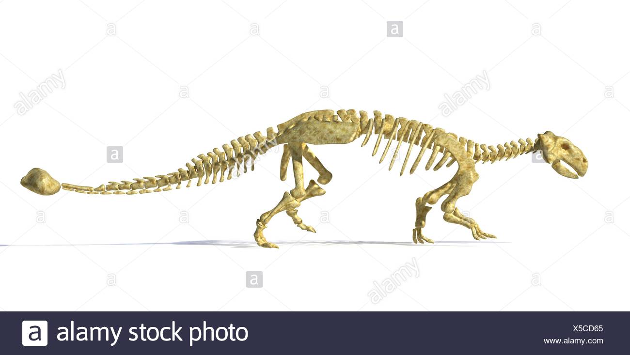 Dinosaurus Stock Photos & Dinosaurus Stock Images - Alamy
