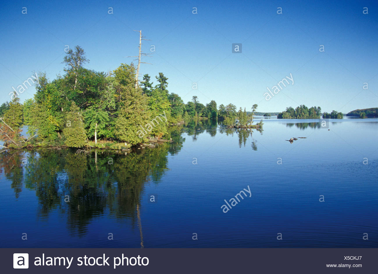 Kawartha Lakes Stock Photos & Kawartha Lakes Stock Images - Alamy