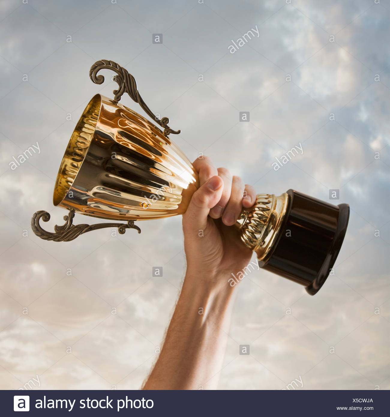 Hand Holding Trophy