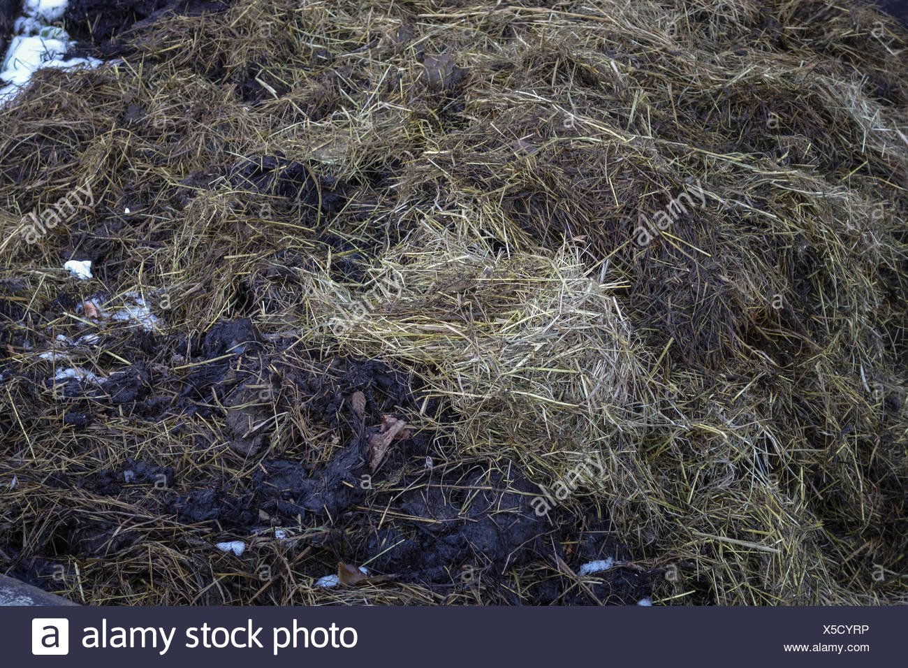 Pile Of Farm Manure High Resolution Stock Photography and Images - Alamy