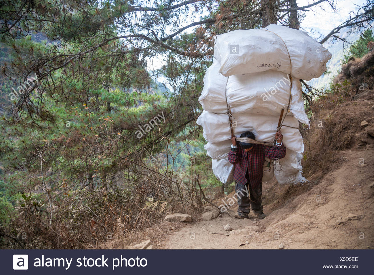 Man Carrying Load Stock Photos & Man Carrying Load Stock Images - Alamy