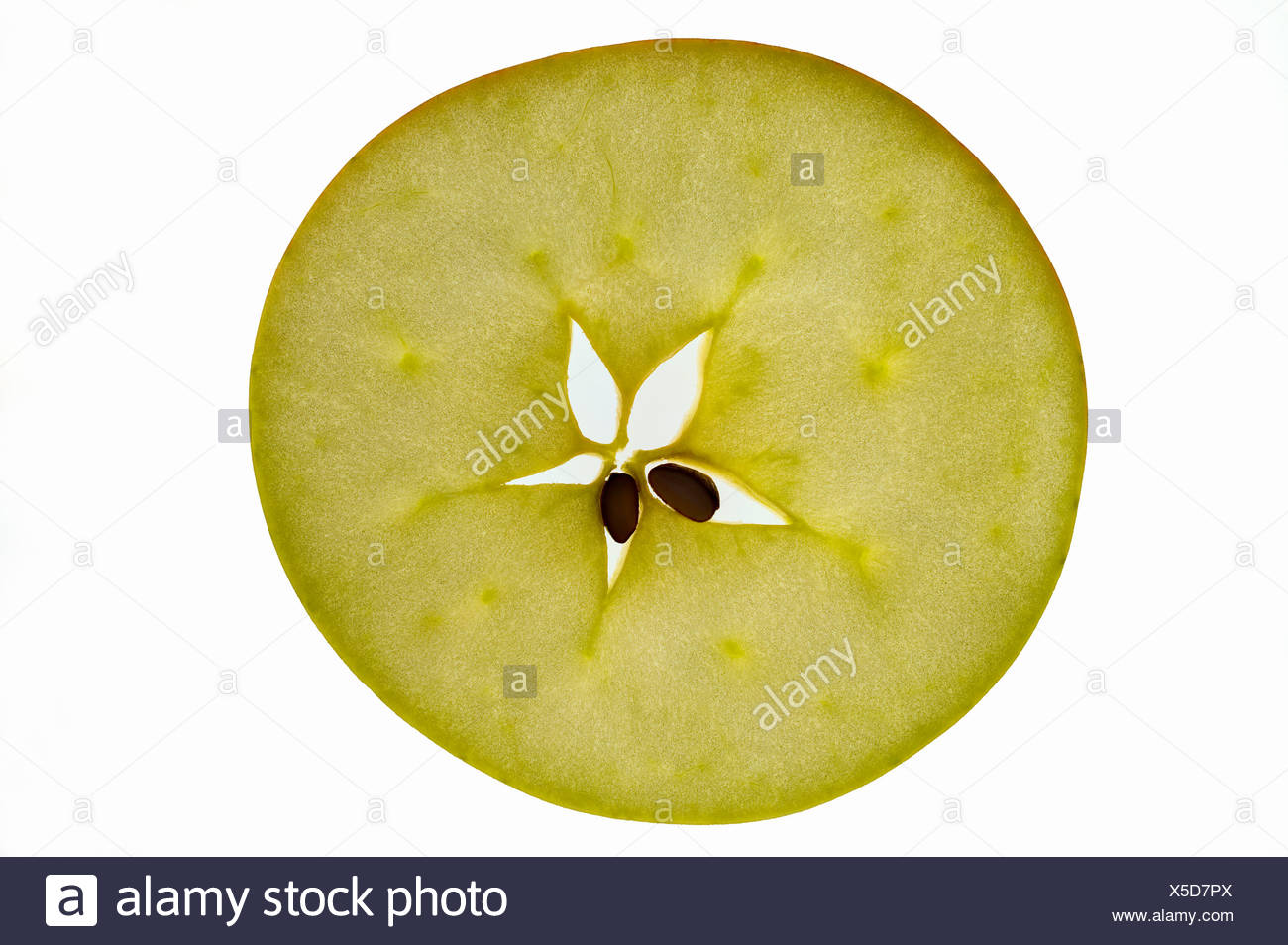 Vector Outline Apple Slice Fruit Stock Photos & Vector Outline Apple ...