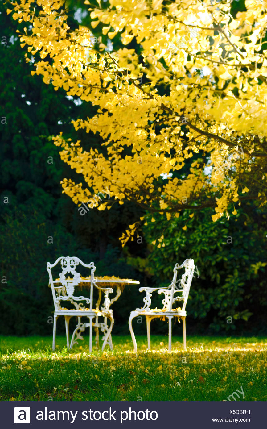 Garden Chairs High Resolution Stock Photography and Images - Alamy