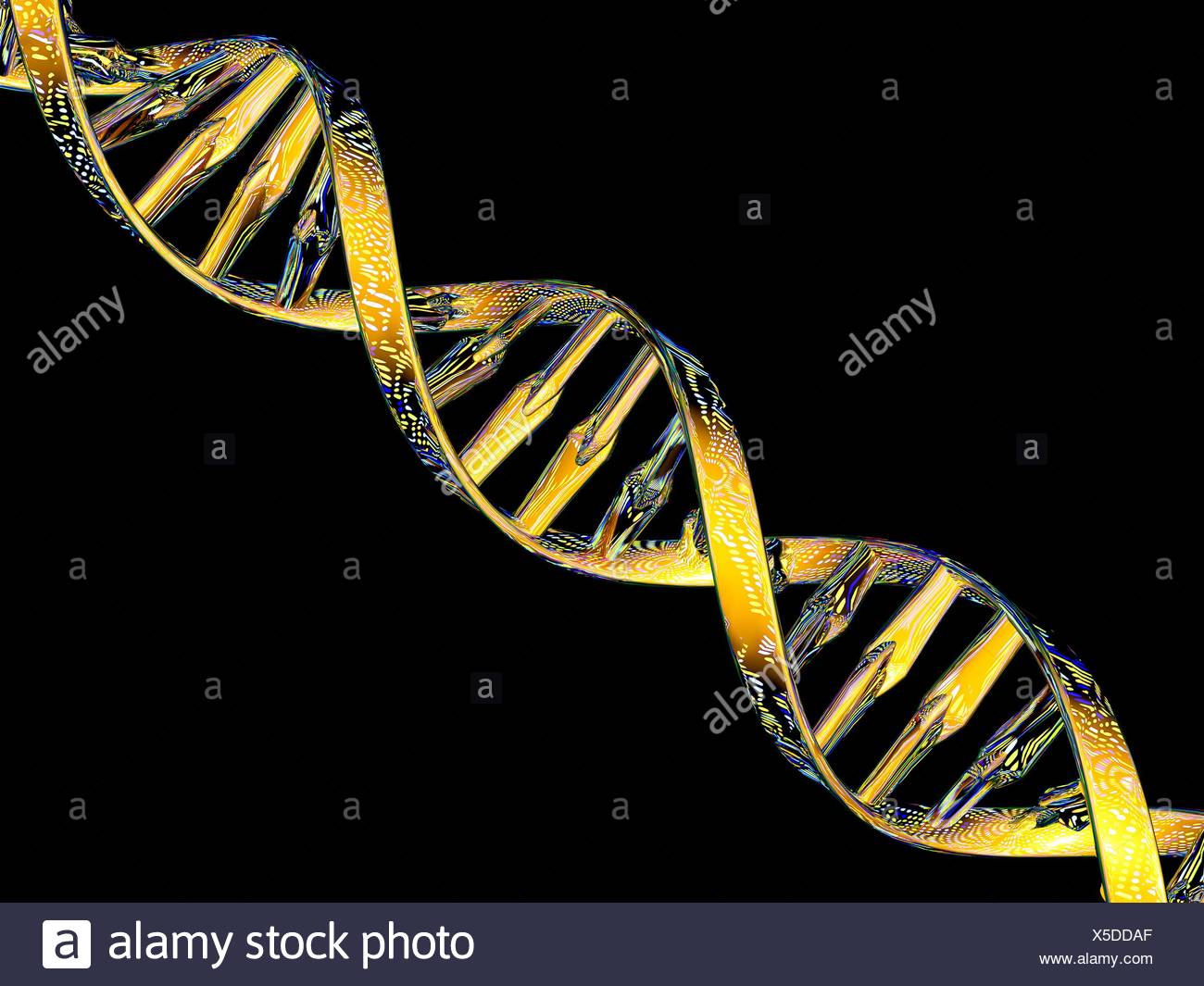 Genomic Dna High Resolution Stock Photography and Images - Alamy