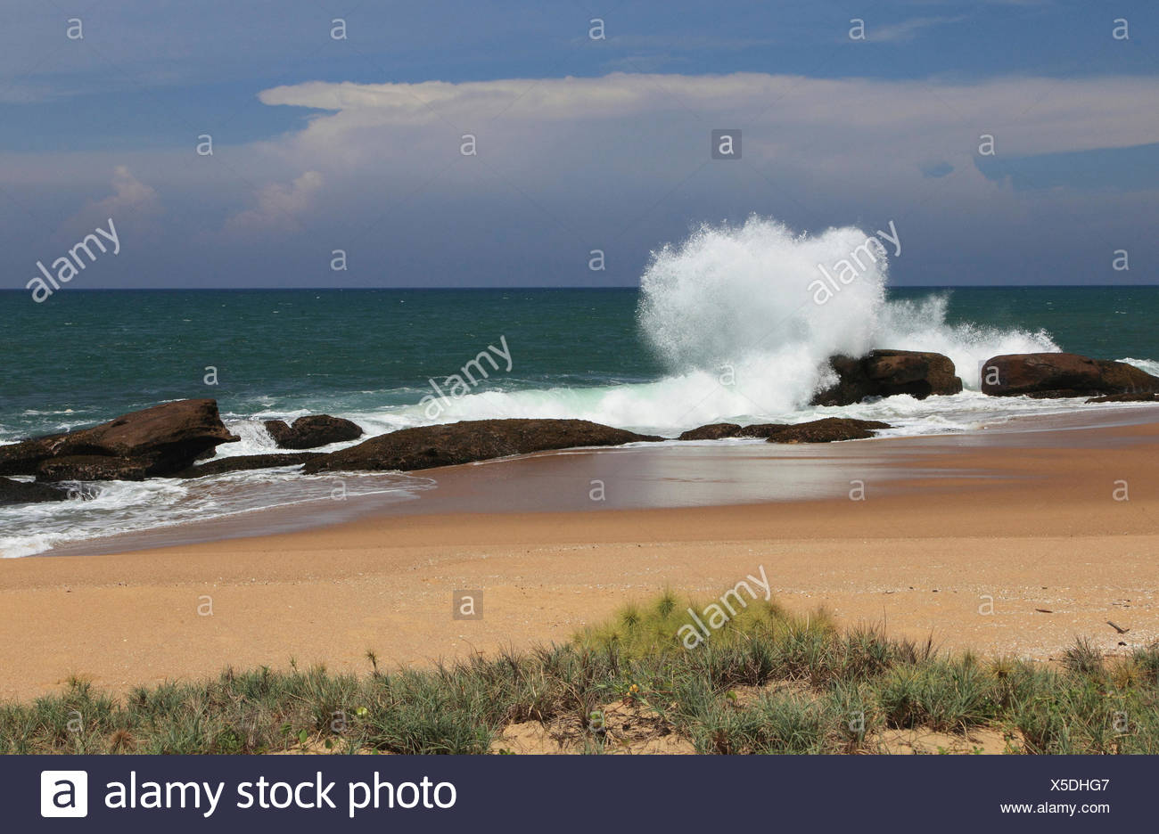 Yala National Park Beach High Resolution Stock Photography and Images ...