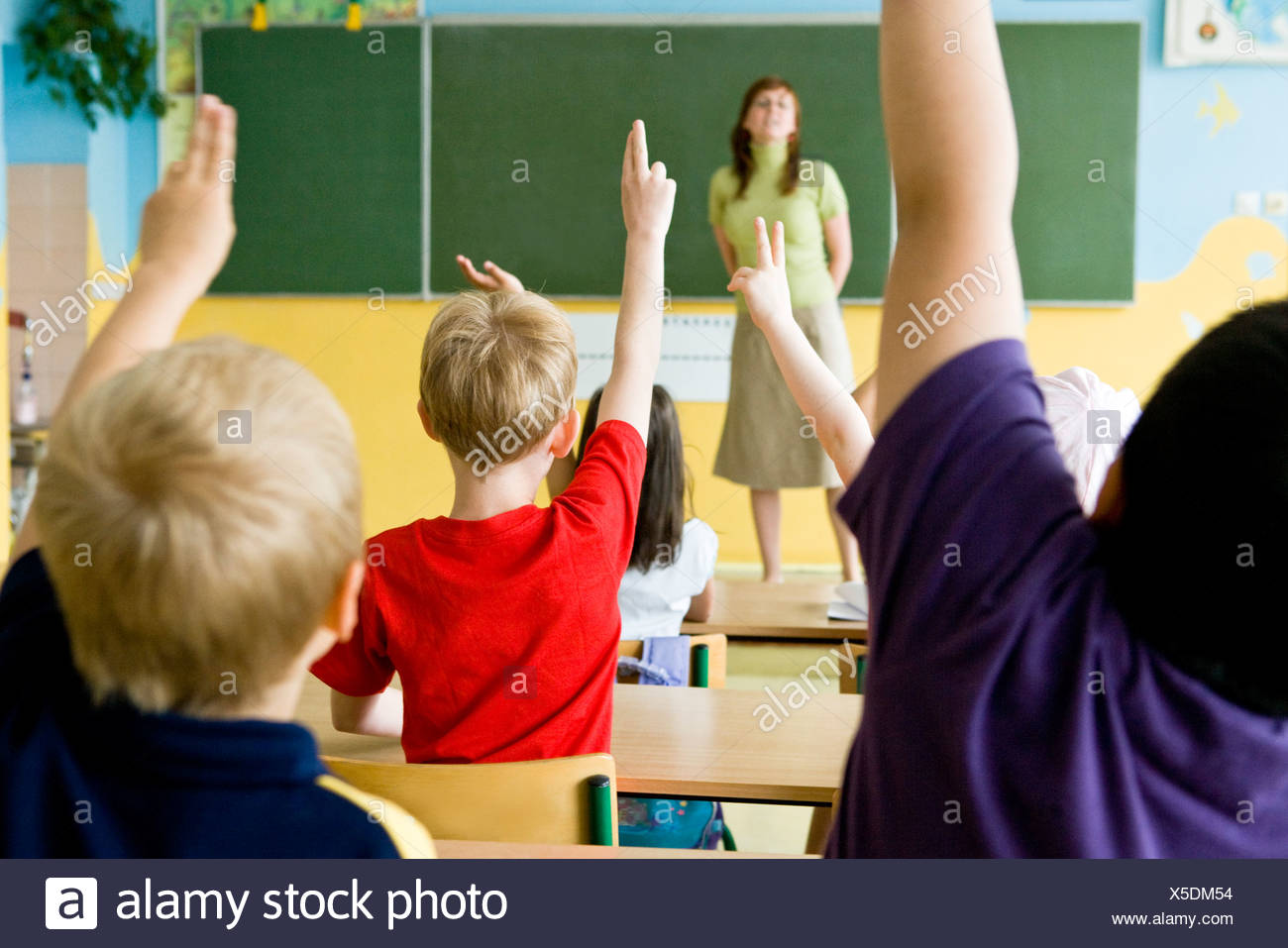 Male Teacher Group Of Classroom Boys High Resolution Stock Photography ...